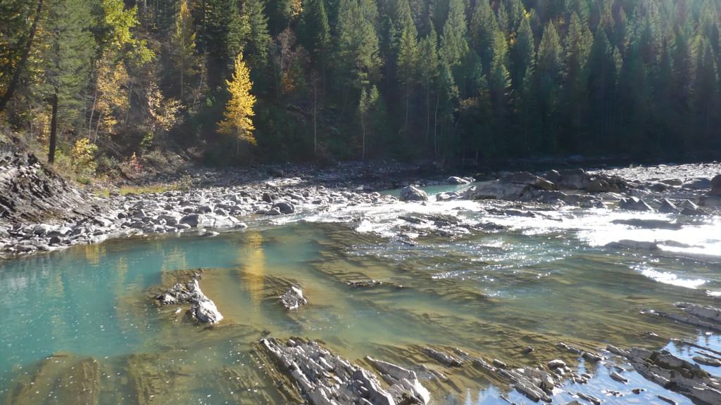 Bull River Trout Fishing, Cranbrook BC - BC Fishn