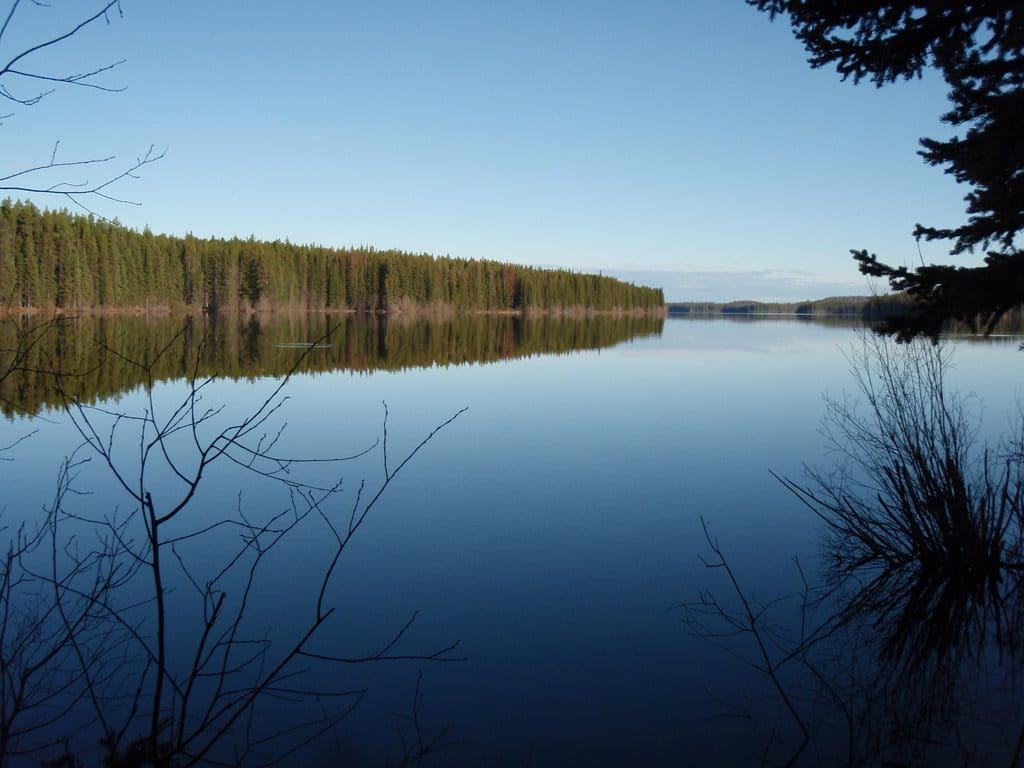 BCWF Region 8 - Fisheries Committee Bulletin Board