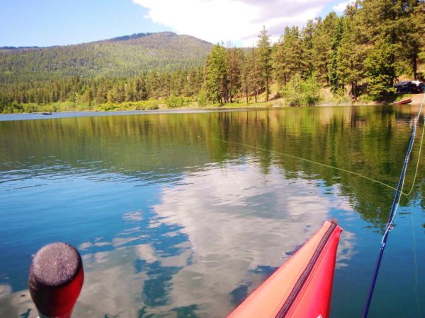 A Rookies Guide to Chironomid Fly Fishing - BC Fishn