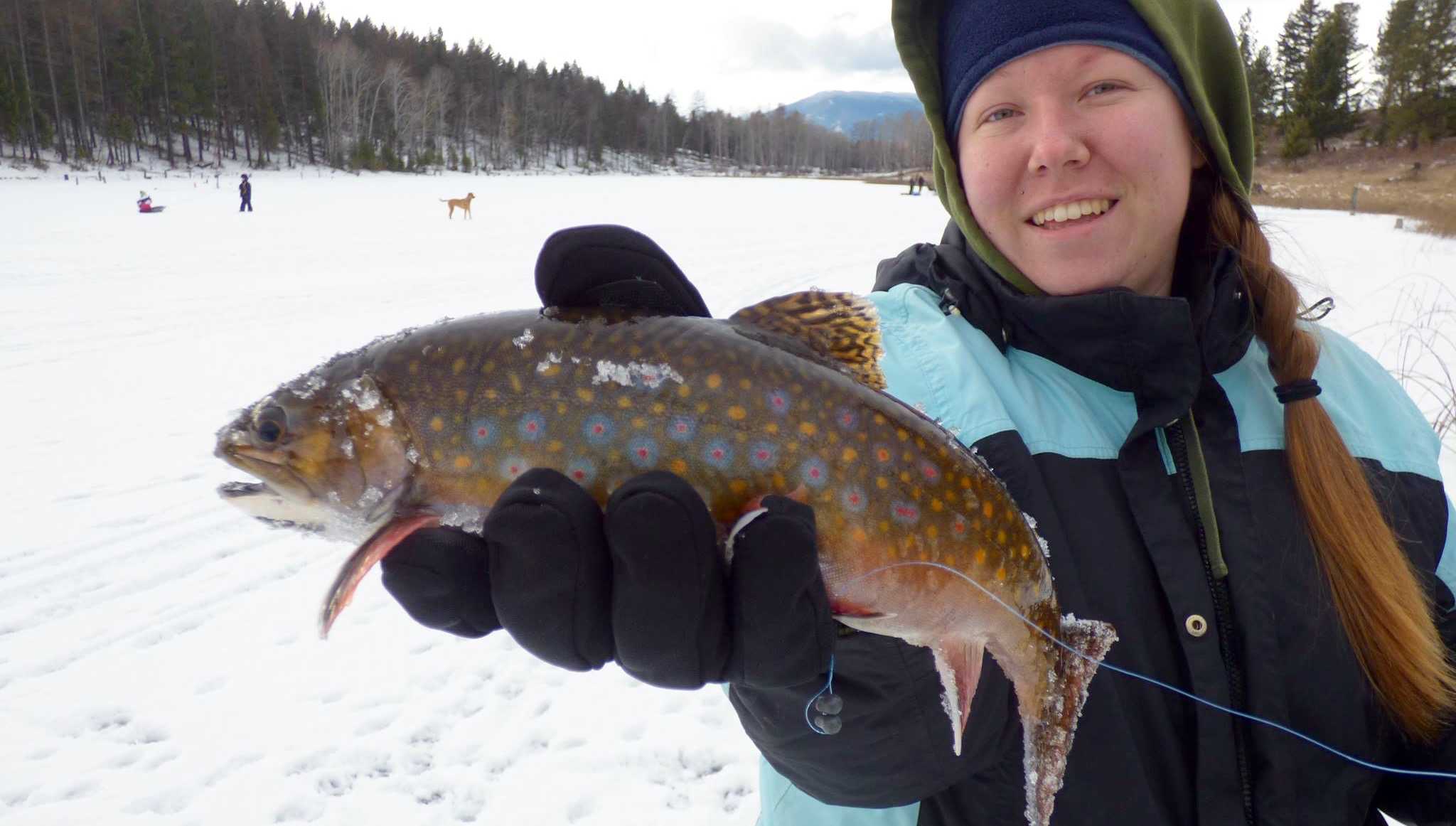 In Pursuit of Brook Trout - BC Fishn