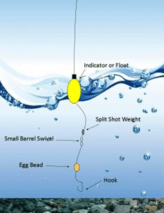 How to Bead Fish for Trout - BC Fishn
