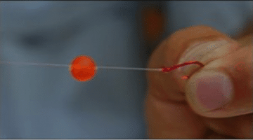 How to Bead Fish for Trout - BC Fishn