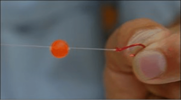 How to Bead Fish for Trout - BC Fishn