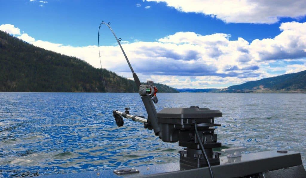 Kokanee Fishing 101 - Learn the basics of Kokanee fishing.