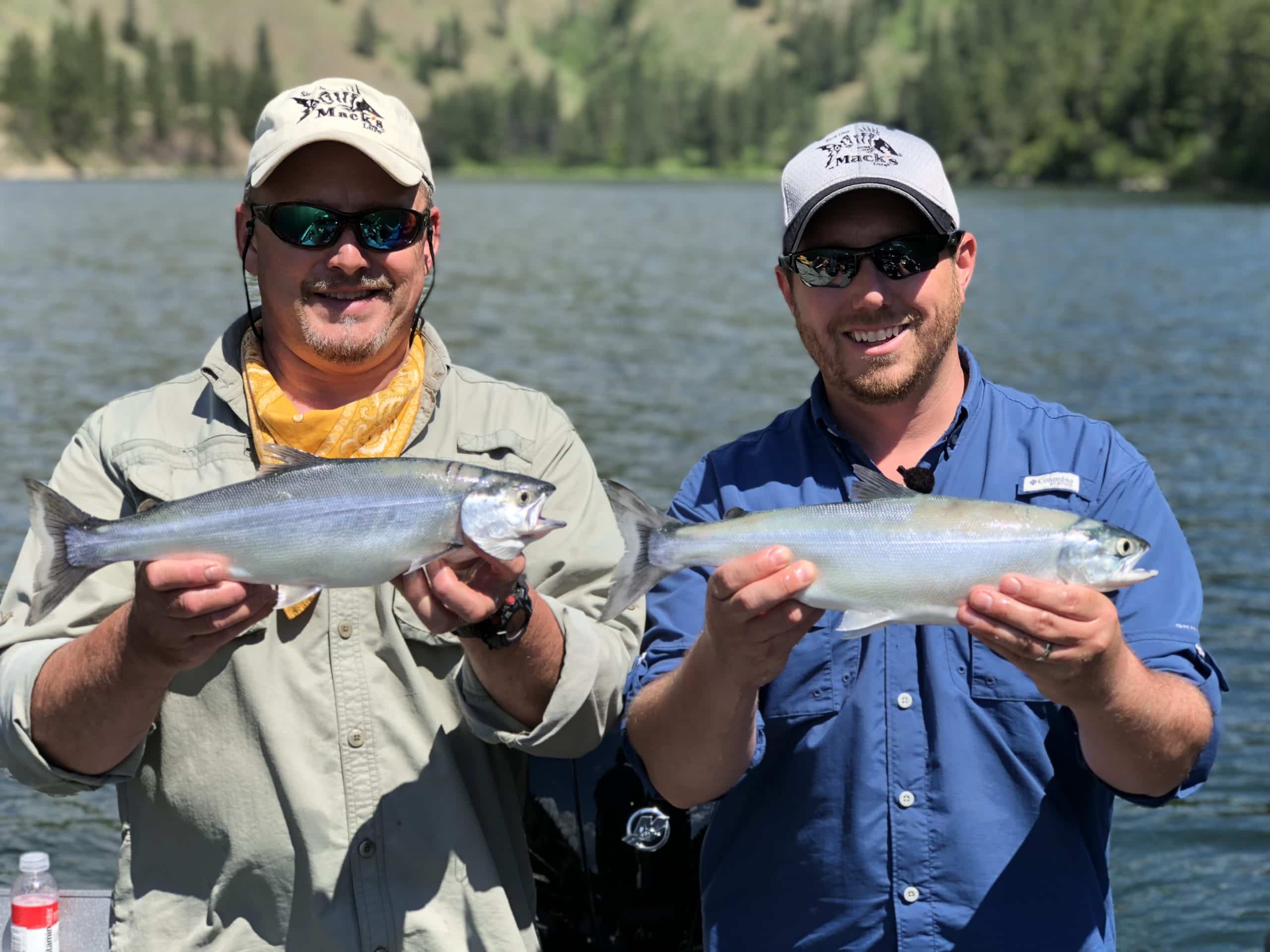 5 Tactics to Catch More Kokanee this Spring - BC Fishn
